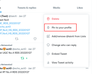 How to Pin Any Tweet on Twitter (2023) – PC Webopaedia