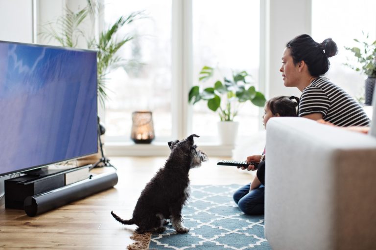 How to Connect Two TVs Together to Display the Same Picture (2023) – PC ...